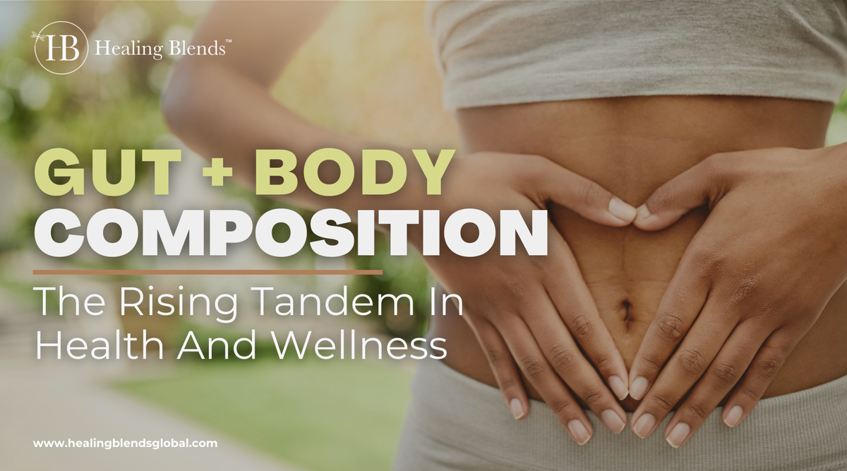 The Connection Of The Gut & Body Composition | Healing Blends – Healing ...